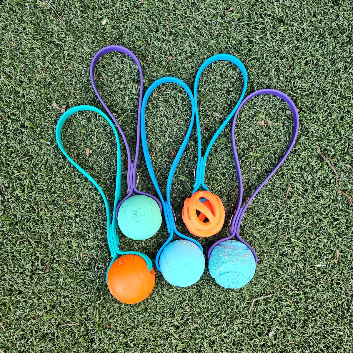 BioThane® Ball Tug Toys